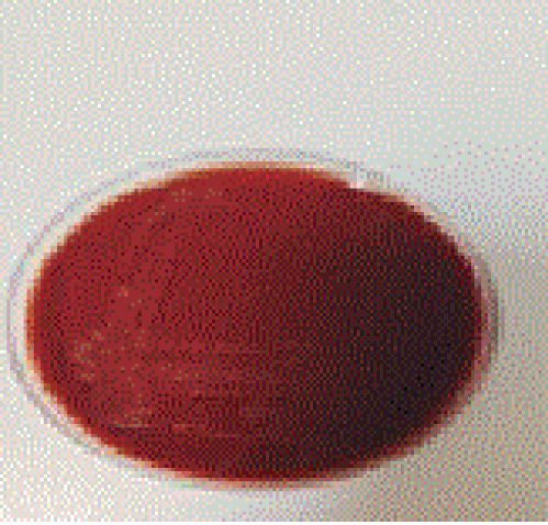 Neisseria Gonorrhoeae Bacteraemia: An Antipodean Case Study