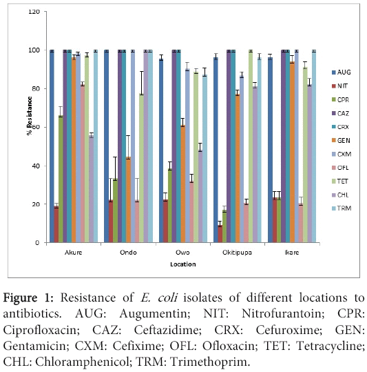 Dissemination of Multi-Drug Resistance in Escherichia coli Isolat