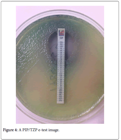 Determination of Piperacillin/Tazobactam and Ticarcillin/Clavulanate ...
