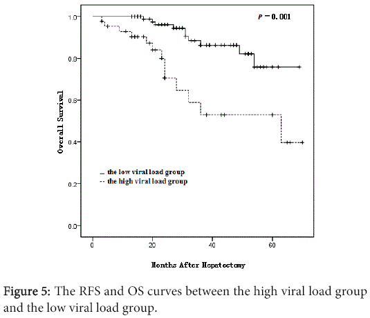 Effects of Hepatitis B Virus Load on Hepatectomy