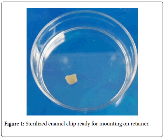 Effects of a Novel Mouthwash on Dental Remineralization