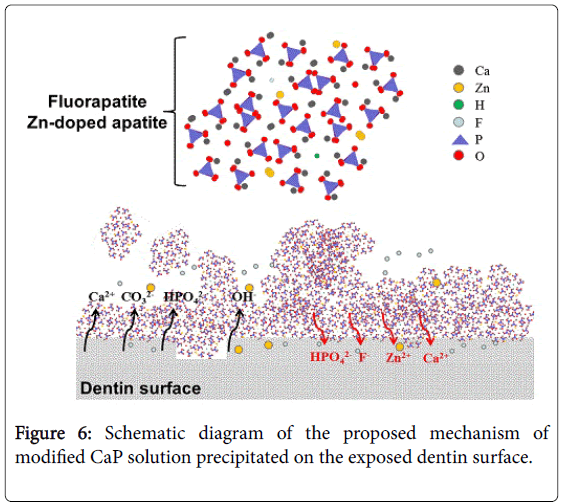 Comparative Efficacy of Experimental Solutions in Occluding Denti