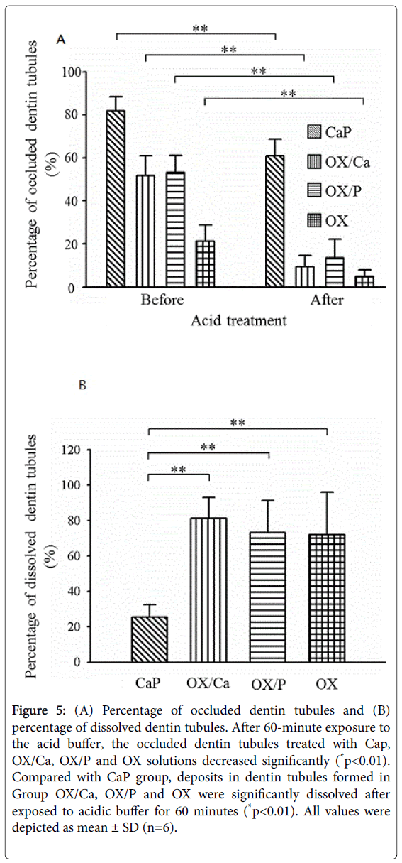 Comparative Efficacy of Experimental Solutions in Occluding Denti