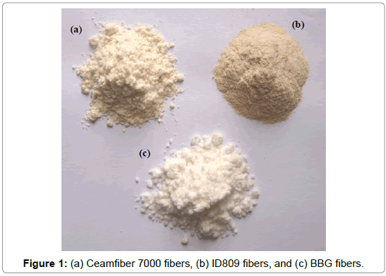 Using Barley Beta Glucan, Citrus, and Carrot Fibers as a Meat ...