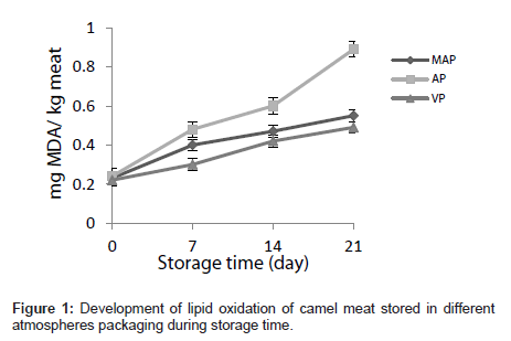 Lipid Oxidation and Color Changes of Fresh Camel Meat Stored Unde