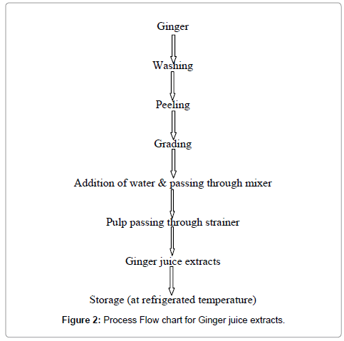 Development and Storage Studies of Therapeutic Ready to Serve (RT