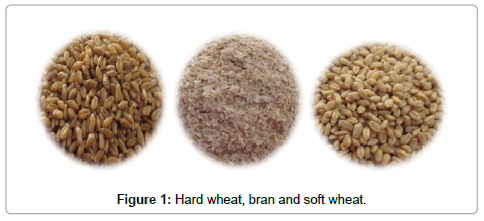 Effect of Refined Milling on the Nutritional Value and Antioxidant ...