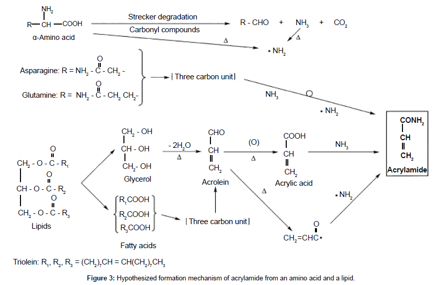 Acrylamide in Food Products: A Review
