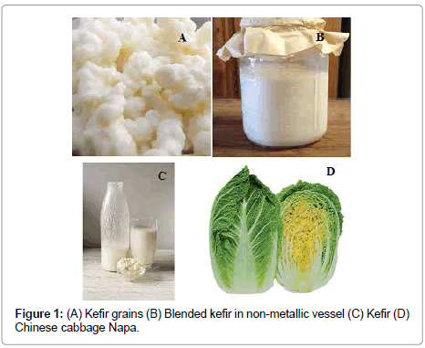 A Review About Probiotic Foods: Kefir, Kimchi and Kombucha