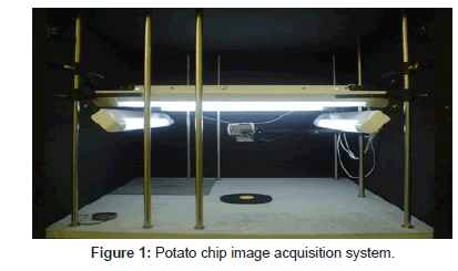 Application of Computer Vision Technique on Sorting and Grading o