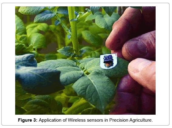 Precision Agriculture: Tomorrows Technology for Todays Farmer