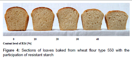 Effect of Acetylated Retrograded Starch (Resistant Starch RS4) On