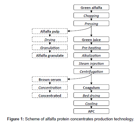 Production Technology, Chemical Composition and Use of Alfalfa Protein ...