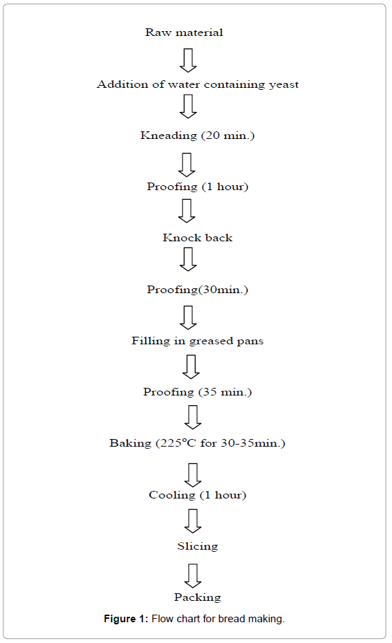 Optimisation of Process for Development of Nutritionally Enriche