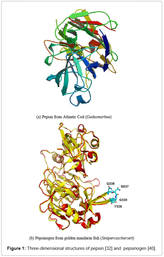 Extraction, Purification and Characterization of Fish Pepsin: A ...