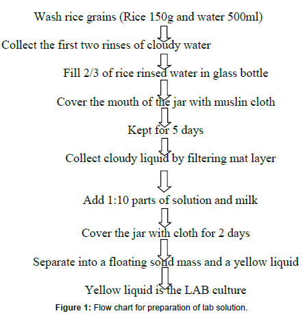 Procreation and Quality Analysis of Cow Curd by Using Starter Culture ...