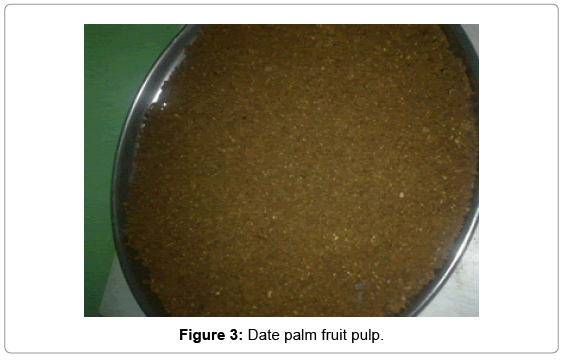 Effect of Substitution of Sucrose with Date Palm (Phoenix dactyli