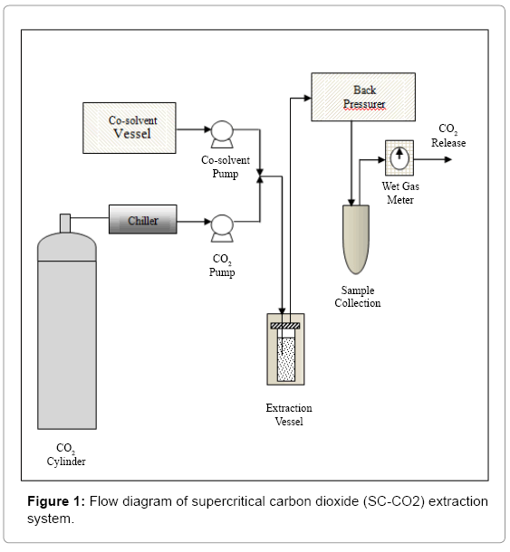 Optimization of Extraction Condition for Supercritical Carbon Dio