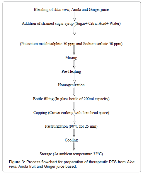 Development and Storage Studies of Therapeutic Ready to Serve (RTS)Made ...