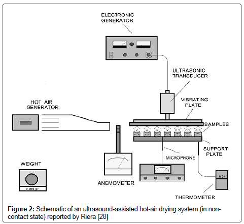 An Introductory Review of Applications of Ultrasound in Food Drying ...
