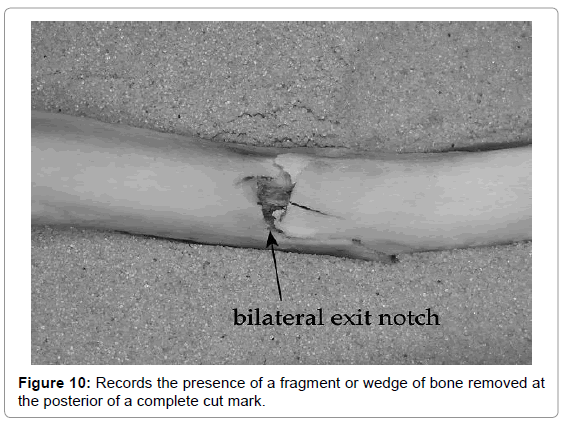 Determining the Experience of a Swordsman and Sharpening Methods Based ...