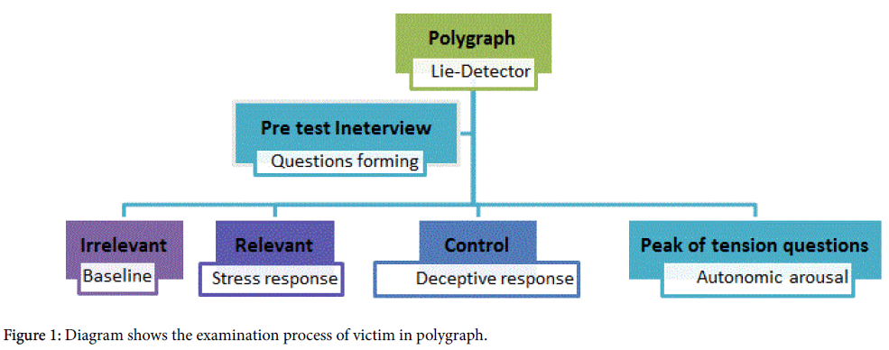 The Deception Clues in Forensic Contexts: The Lie Detection Psych