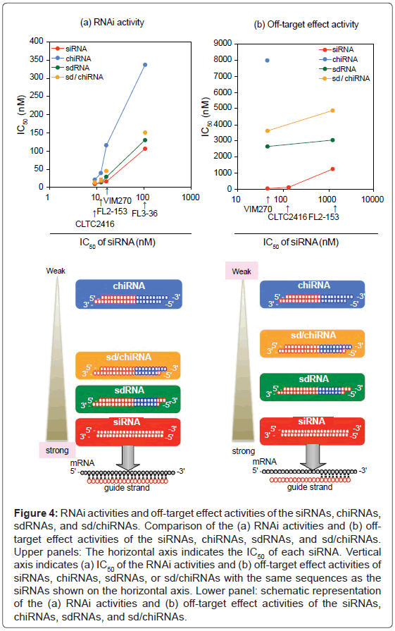 sdRNA: siRNA with a DNA Seed for an Efficient and Target-gene Specific ...