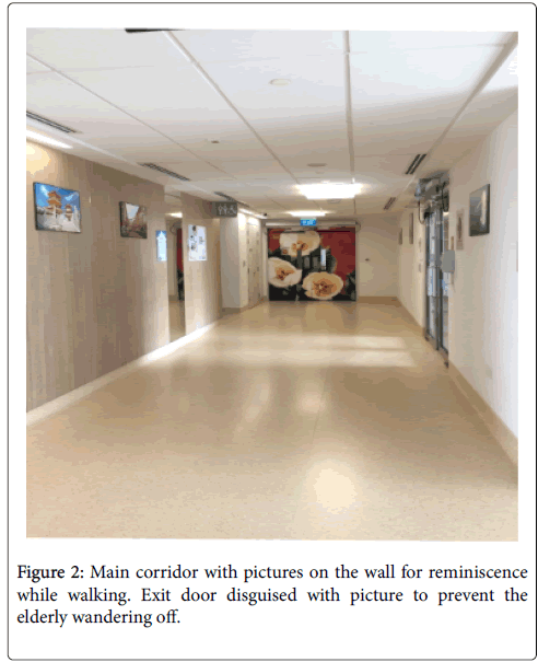 The Role of Dementia Ward in an Acute Hospital