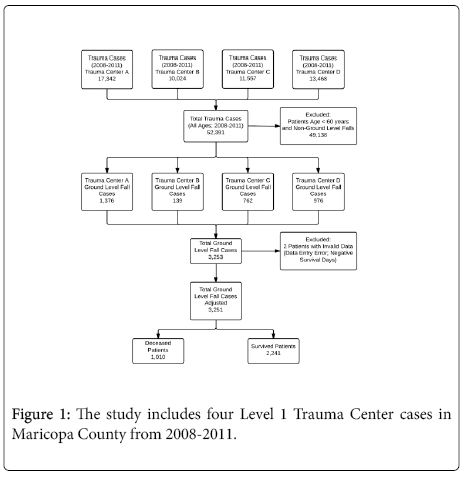 Why Elderly Patients with Ground Level Falls Die Within 30 Days A