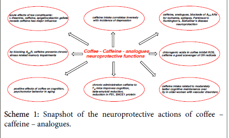 The Effects of Coffee Consumption on Cognition and Dementia Diseases