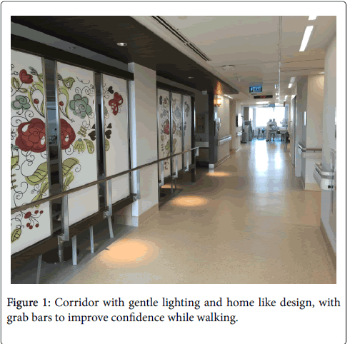 The Role of Dementia Ward in an Acute Hospital