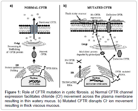 Altered Mitochondrial Function and Cystic Fibrosis