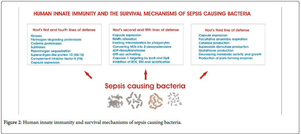 Sepsis Causing Bacteria and their Mechanisms of Overcoming Host Defense