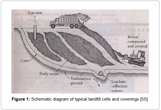 Methanotrophic Oxygen Dependency and Availability for Sustained Oxidation