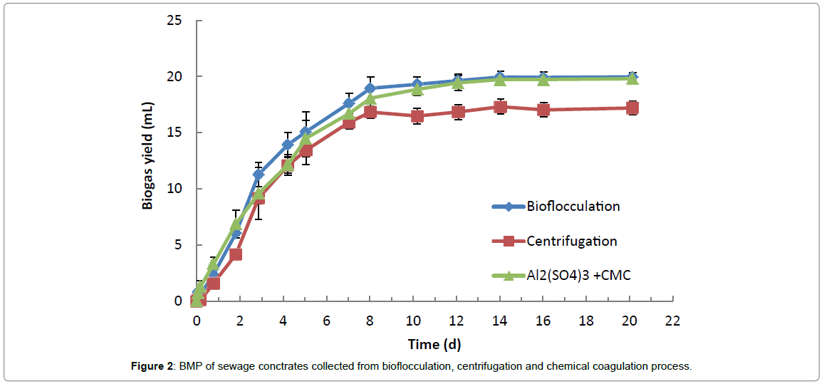 Comparison Biomethane Potential (BMP) Test of Sewage Sludge Recov