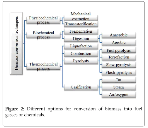 Conversion of Biomass and Waste to Value-add Products: Challenges and ...