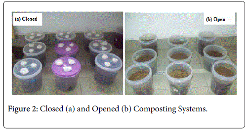 Kinetic Study for Compost Production by Isolated Fungal Strains