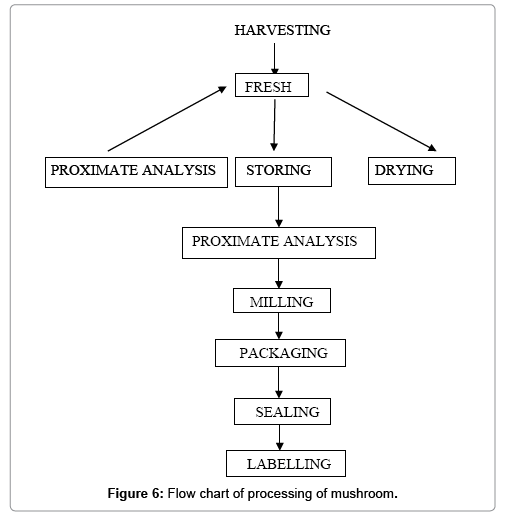 Low Cost Production of Mushroom using Agricultural Waste in a ...
