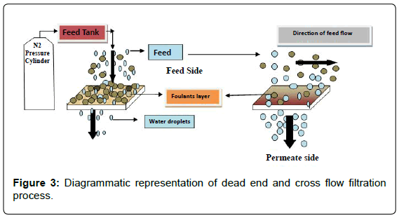 A Comprehensive Review on Polymeric Nano-Composite Membranes for Water ...