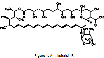 Studies on Ergosterol liquid membrane using Amphotericin B