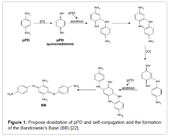 Chemical and Biological Analyses of the Role of the Poly- Para ...