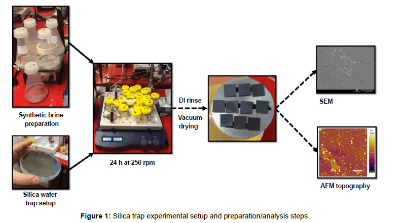Insight in to the Initial Stages of Silica Scaling Employing a Sc