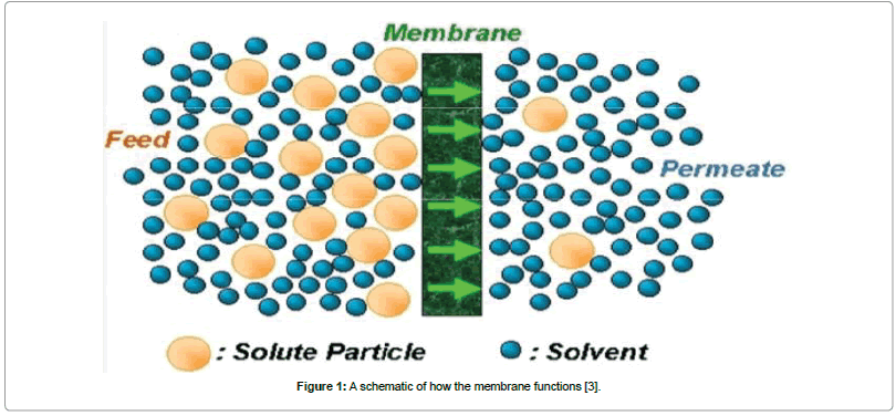 Membrane in Polymer Fuel Cells