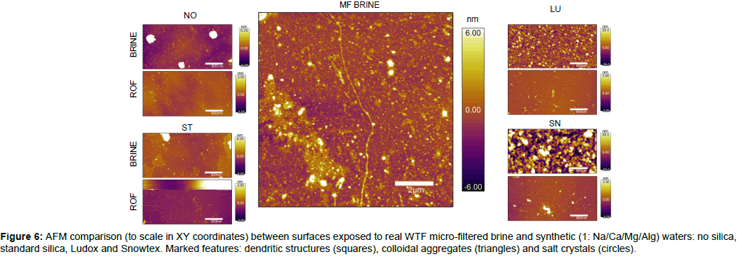 Insight in to the Initial Stages of Silica Scaling Employing a Sc