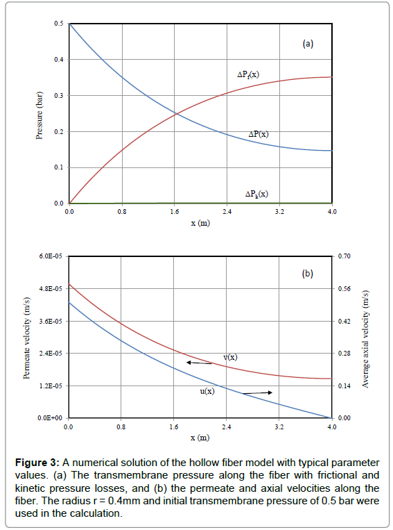 Performance Modeling and Analysis of a Hollow Fiber Membrane System