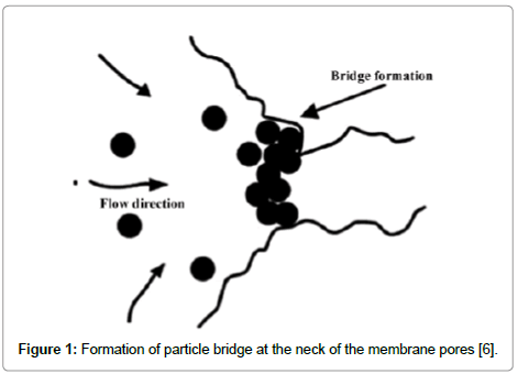 Experimental Study of the Separation of Oil in Water Emulsions by