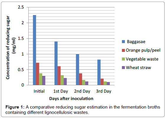 Bioethanol Production by Novel Indigenous Yeast Strains from Lig