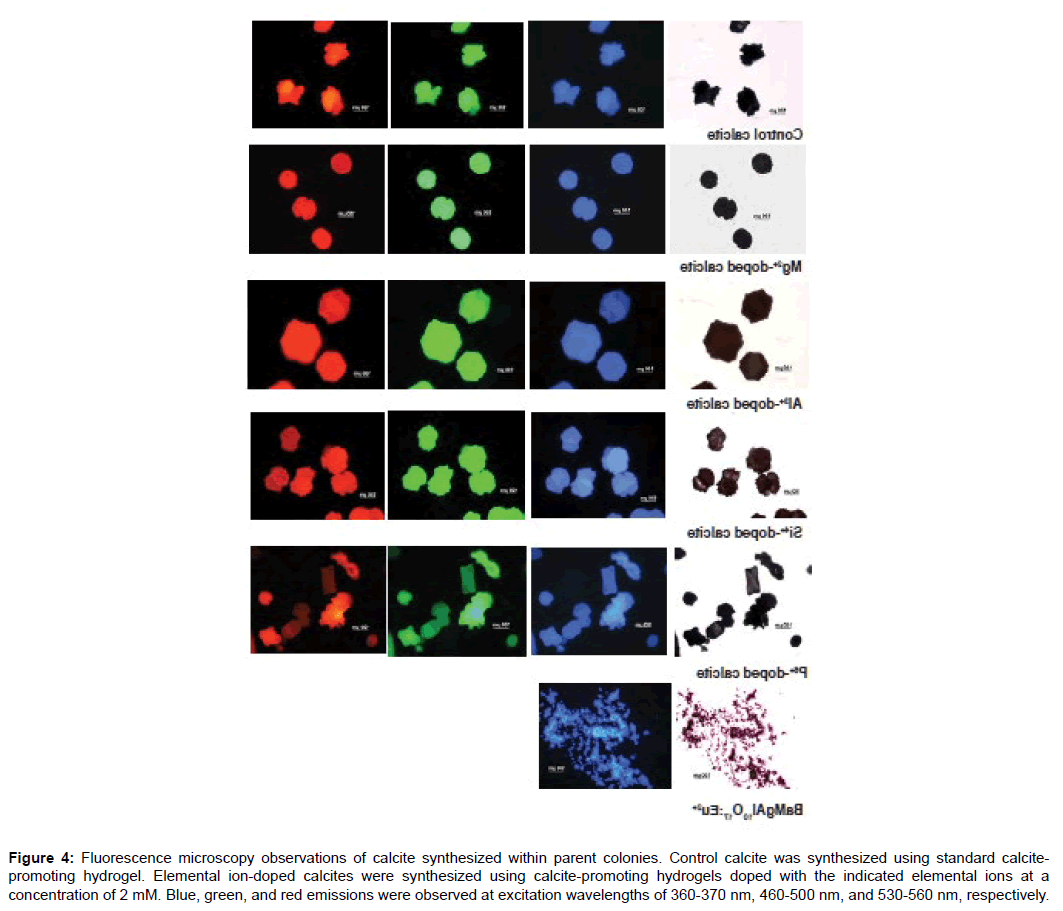 Effect of Doping with Metals, Silicate, And Phosphate Ions on ...