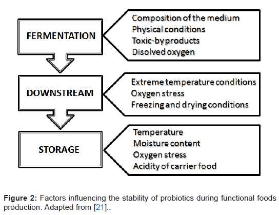 The Benefits of Probiotics on Human Health