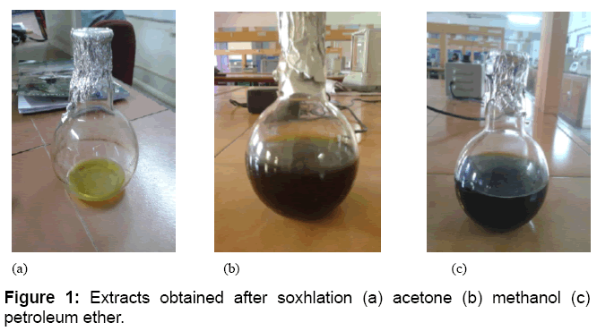 Extraction of Bioactive Compounds from Millingtonia hortensis for